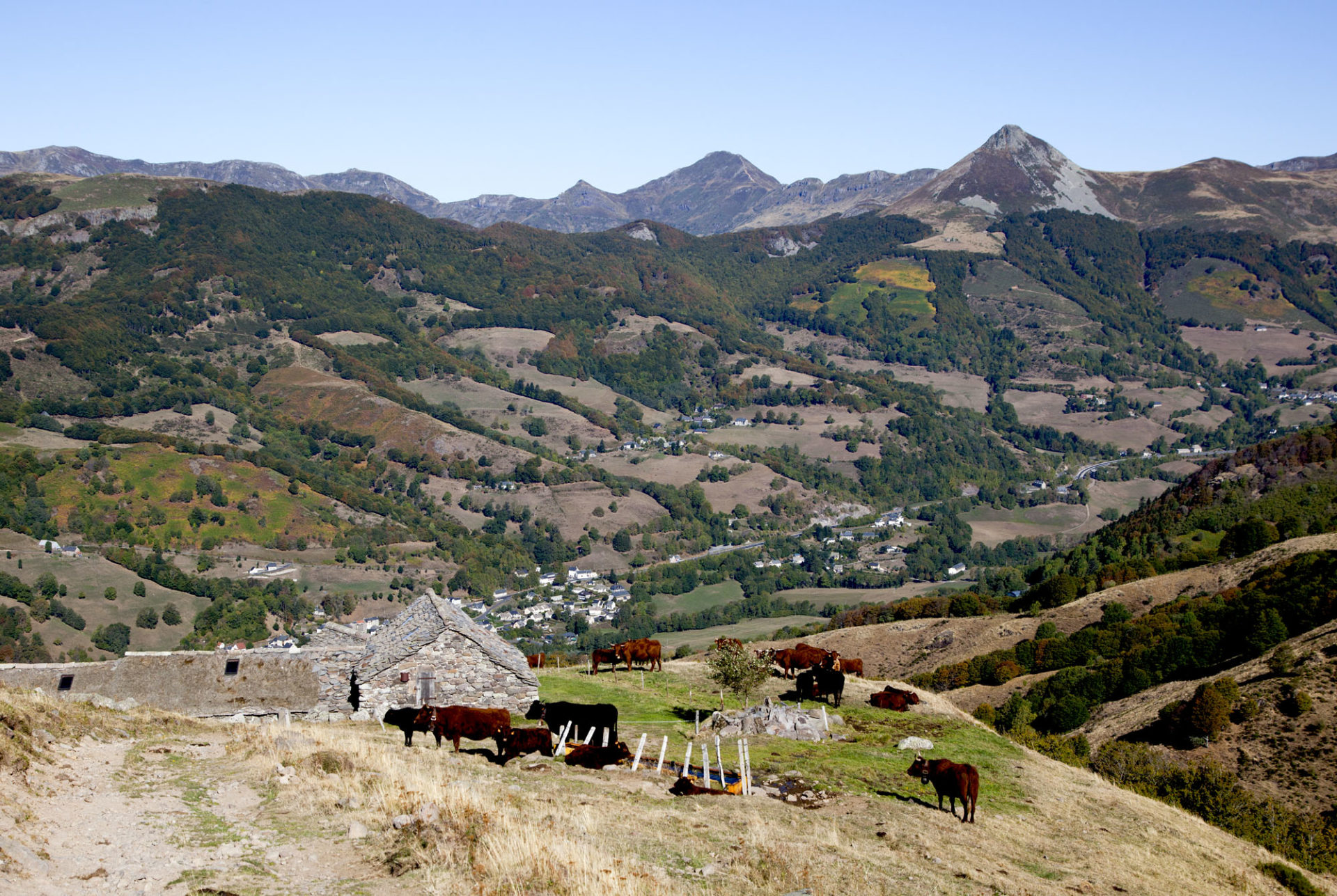 MON BURON EN AUVERGNE ~ Green Latitudes